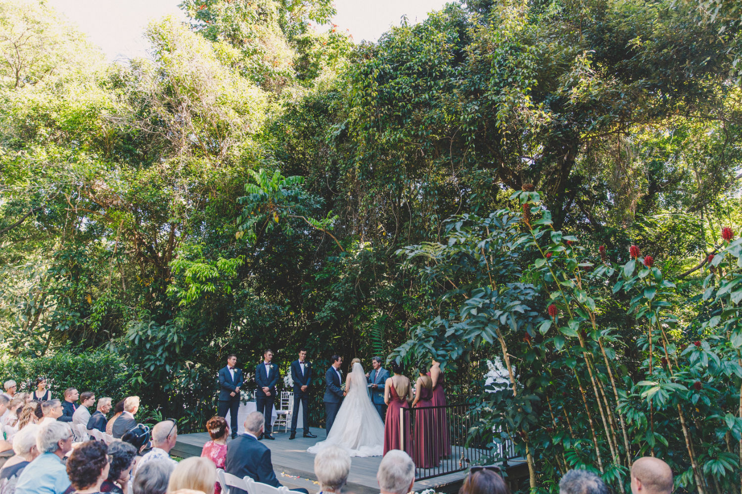 Rainforest Garden Wedding Venue | Cairns, QLD